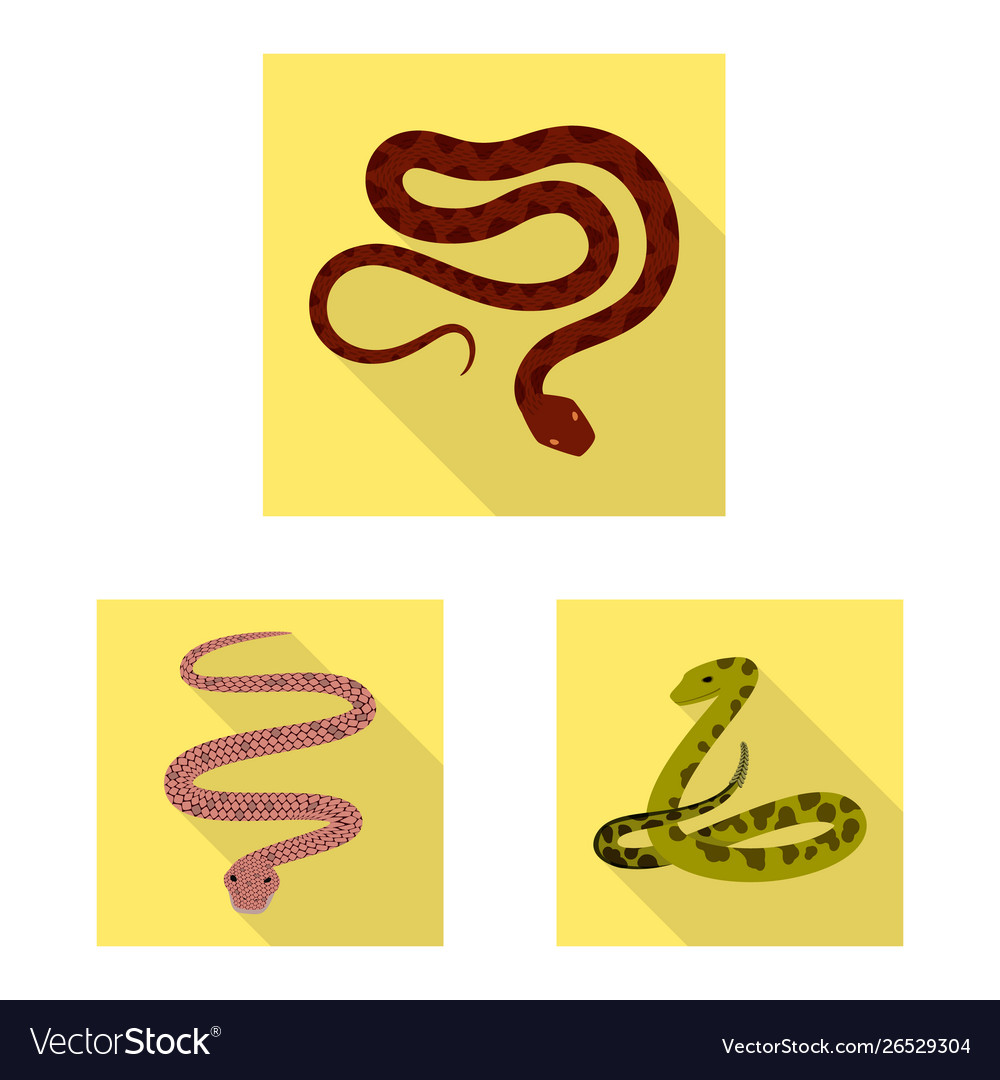 Isolated Object Skin And Reptile Sign Royalty Free Vector