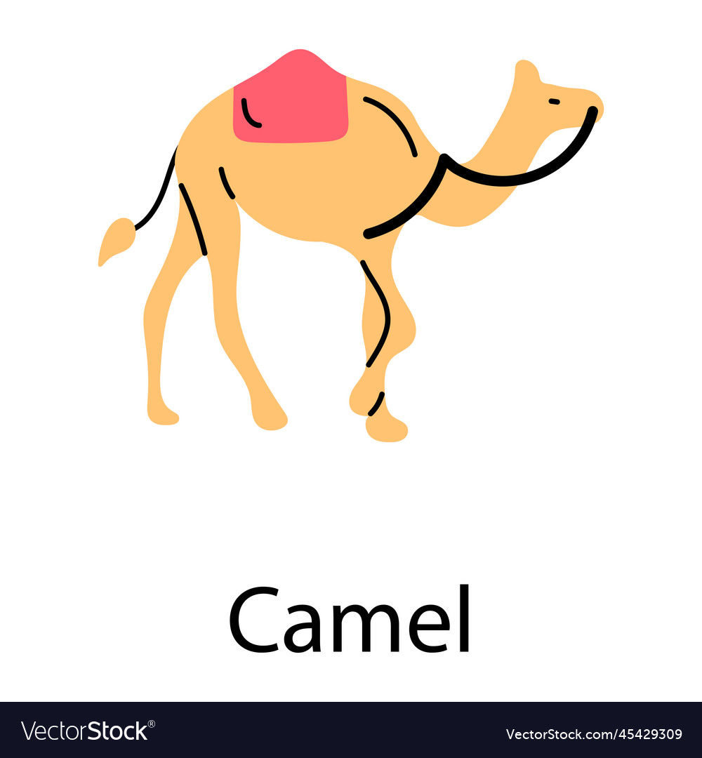 Camel Royalty Free Vector Image - VectorStock