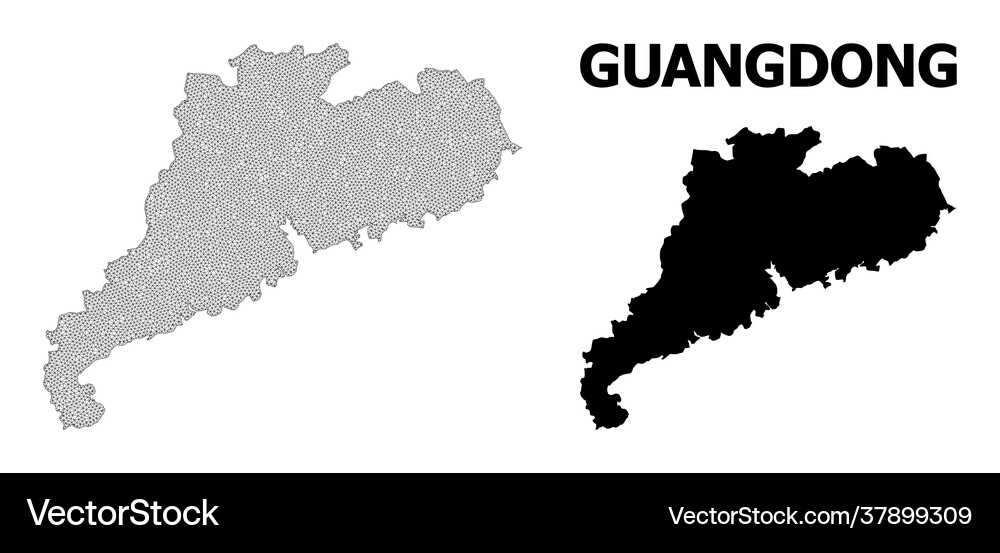 Polygonal network mesh high resolution map Vector Image