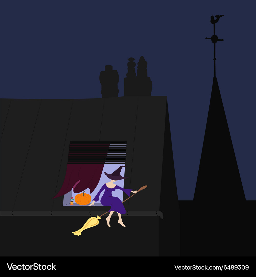 Young witch on the window sill Royalty Free Vector Image