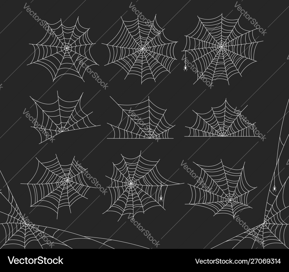 Halloween spider web cobweb Royalty Free Vector Image