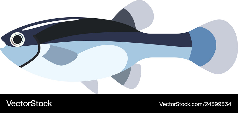 Blue fish flat Royalty Free Vector Image - VectorStock
