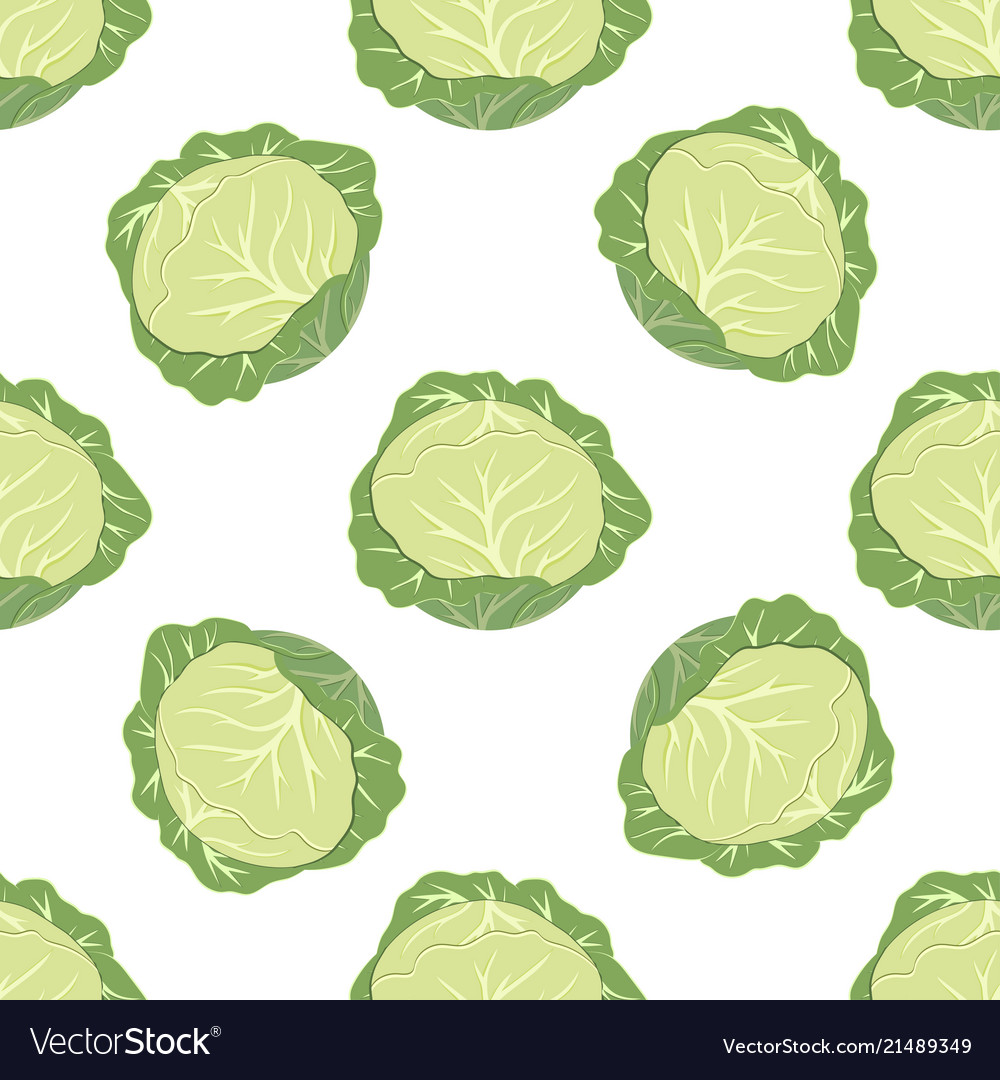 Pattern with cabbage Royalty Free Vector Image