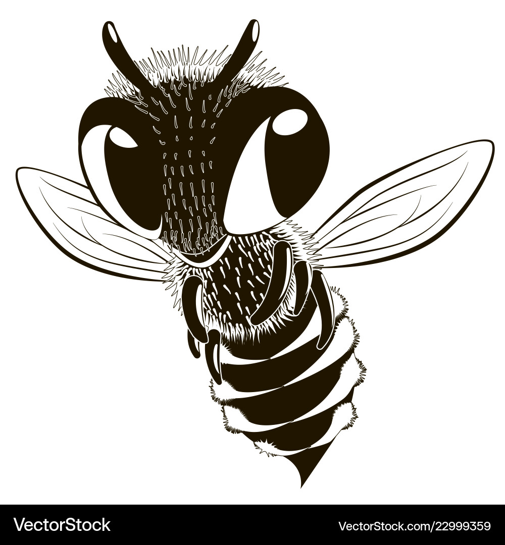 Happy monochrome bee Royalty Free Vector Image