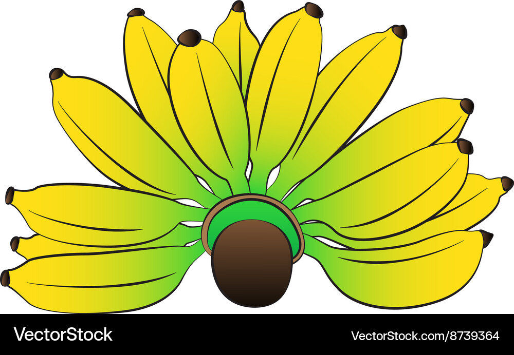 Banana Royalty Free Vector Image - VectorStock
