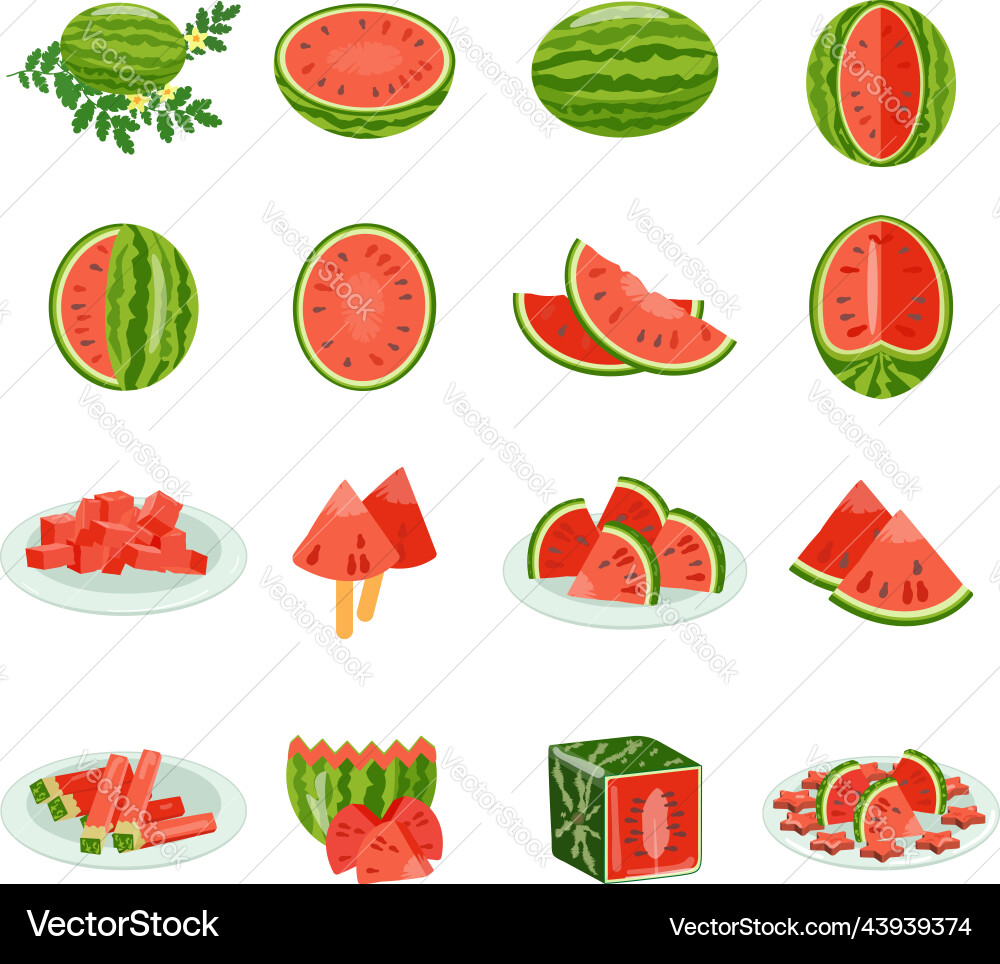 Watermelon icons set cartoon preparing cap Vector Image