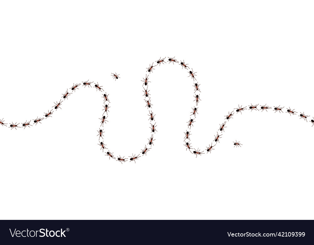 Brown worker ants trail line flat style design Vector Image
