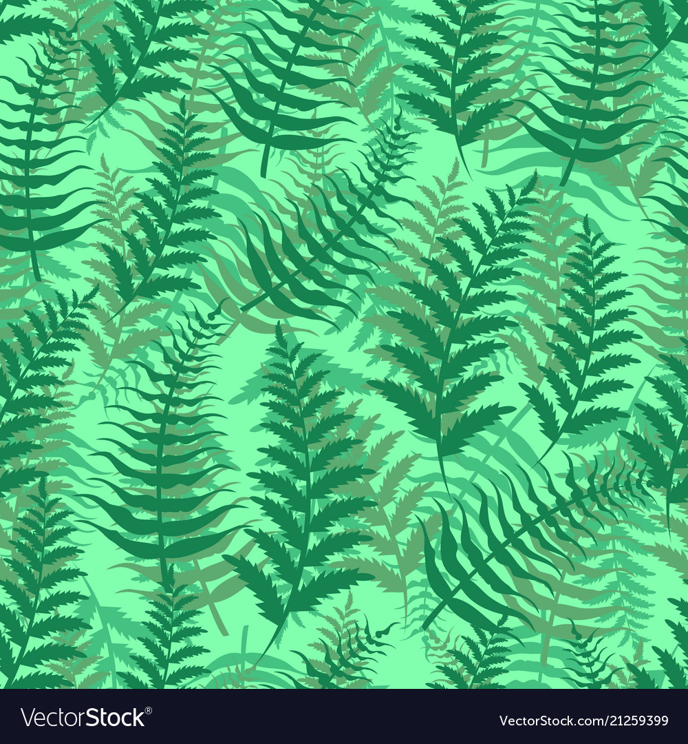 Fern seamless pattern exotic background nature Vector Image