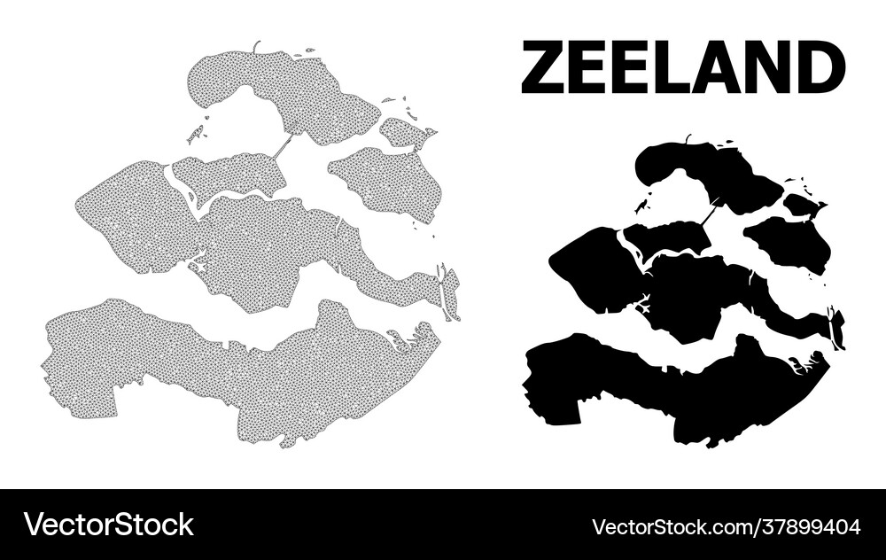 Polygonal carcass mesh high detail map Royalty Free Vector