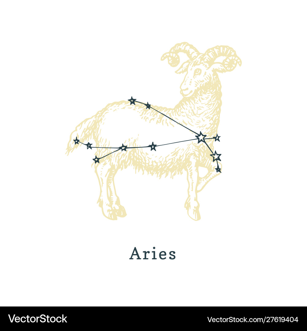 Zodiacal constellation aries on background Vector Image