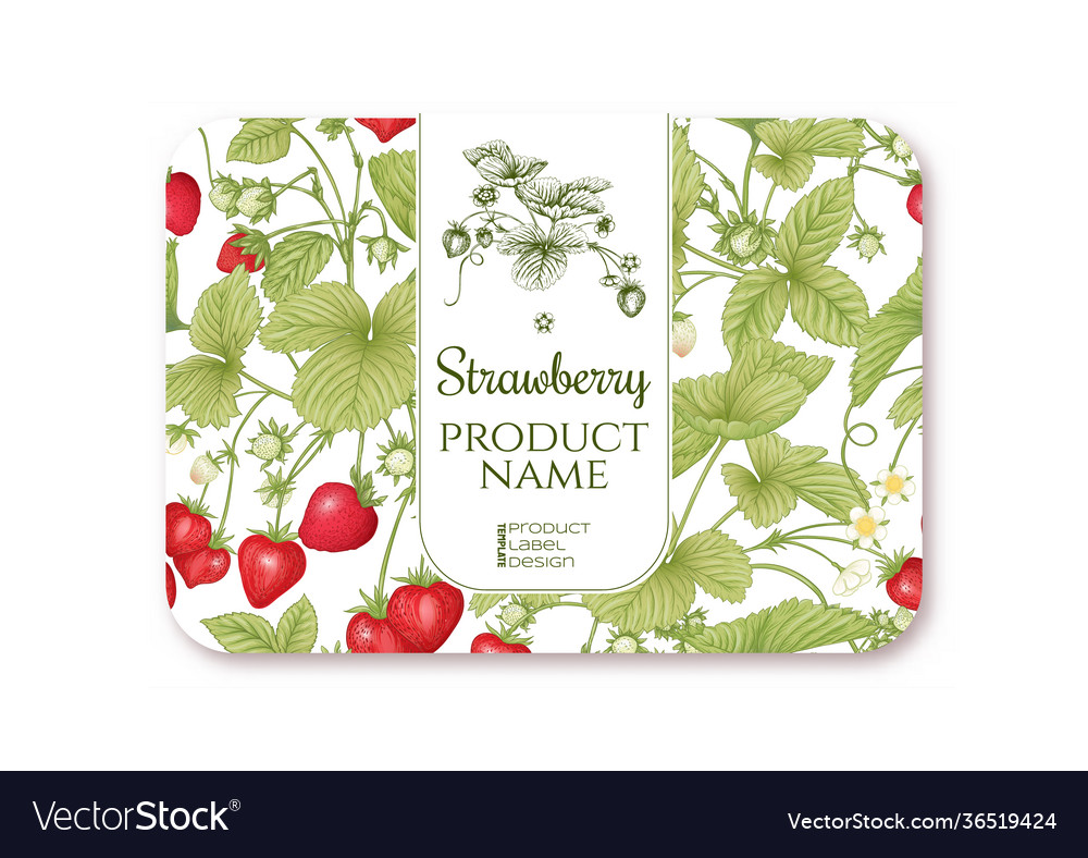 malina-lab-1-2-zz-royalty-free-vector-image-vectorstock