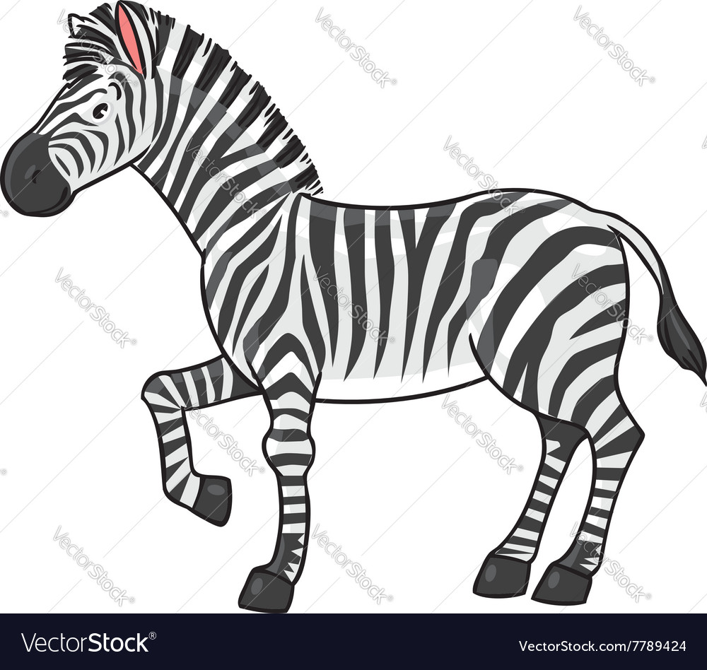 Zebra Royalty Free Vector Image - VectorStock