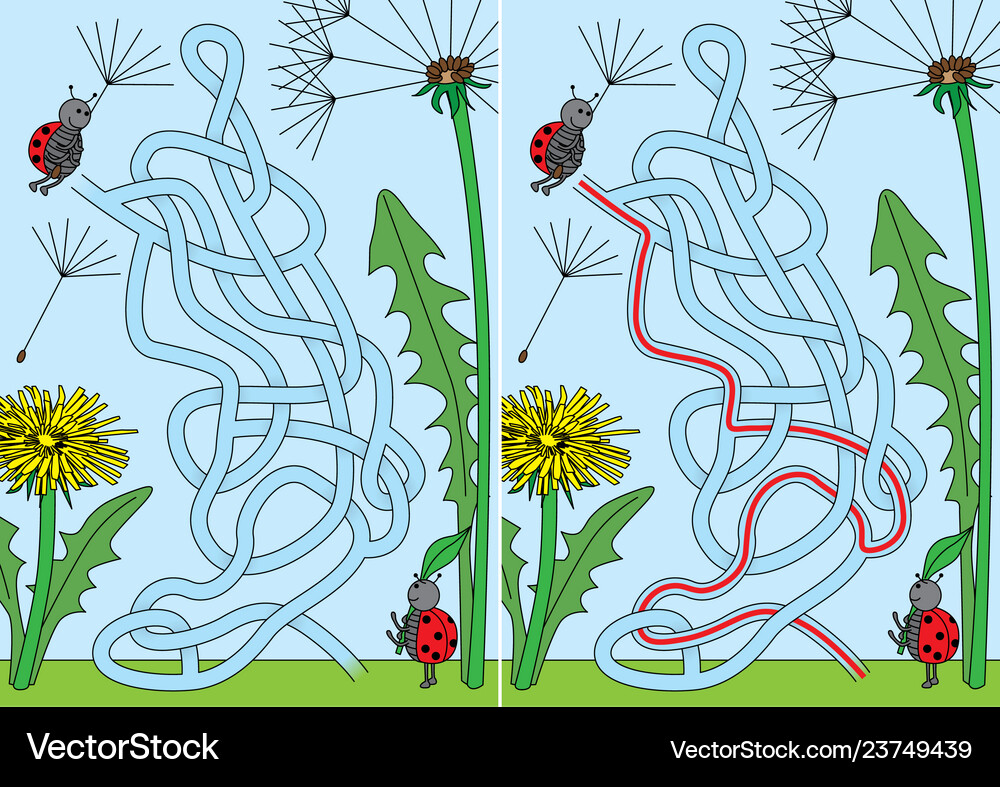 Ladybugs maze Royalty Free Vector Image - VectorStock