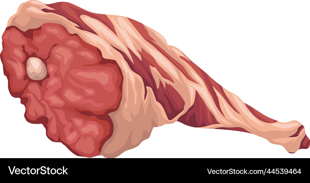 Beef brisket butchery product Royalty Free Vector Image