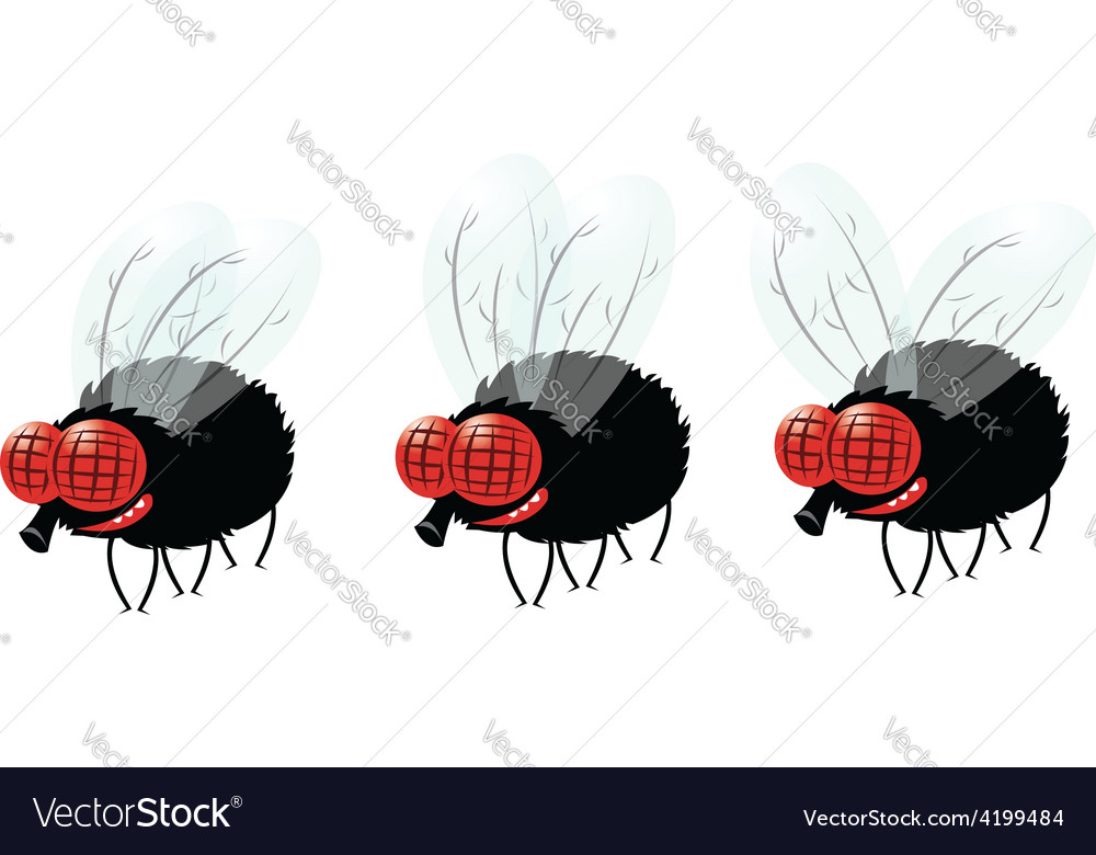 Funny fly Royalty Free Vector Image - VectorStock