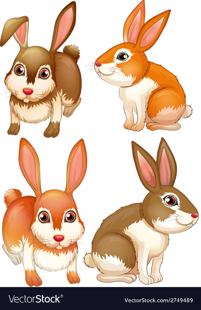 Rabbits Royalty Free Vector Image - VectorStock