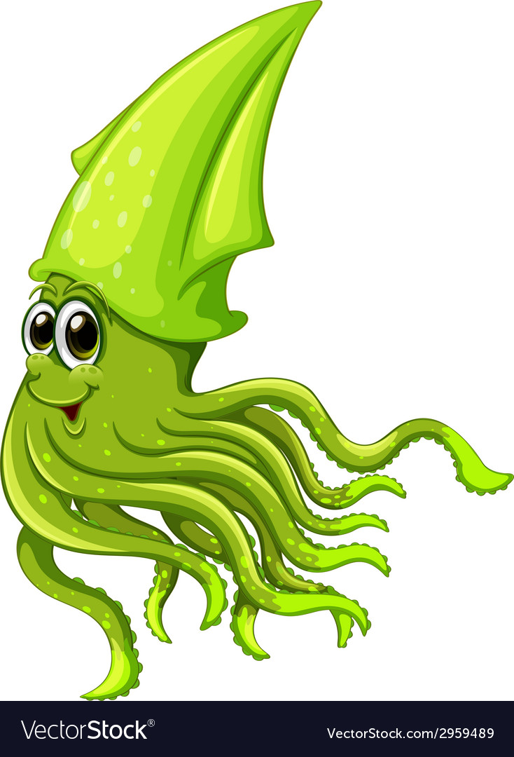 Squid Royalty Free Vector Image - VectorStock
