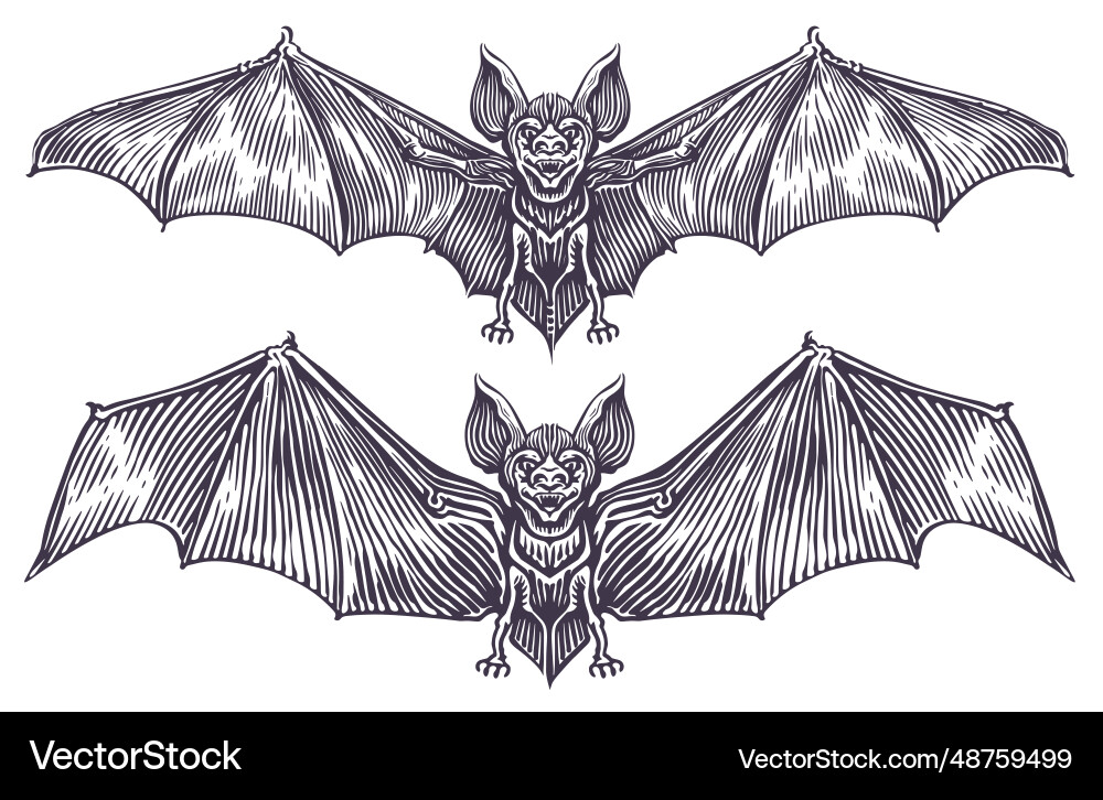 Bat in gothic style engraving vintage sketch Vector Image
