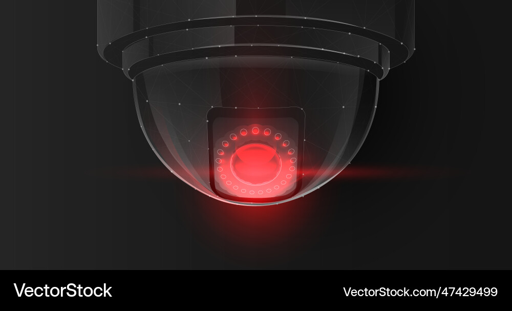 Low polygon and wireframe mesh cctv security Vector Image