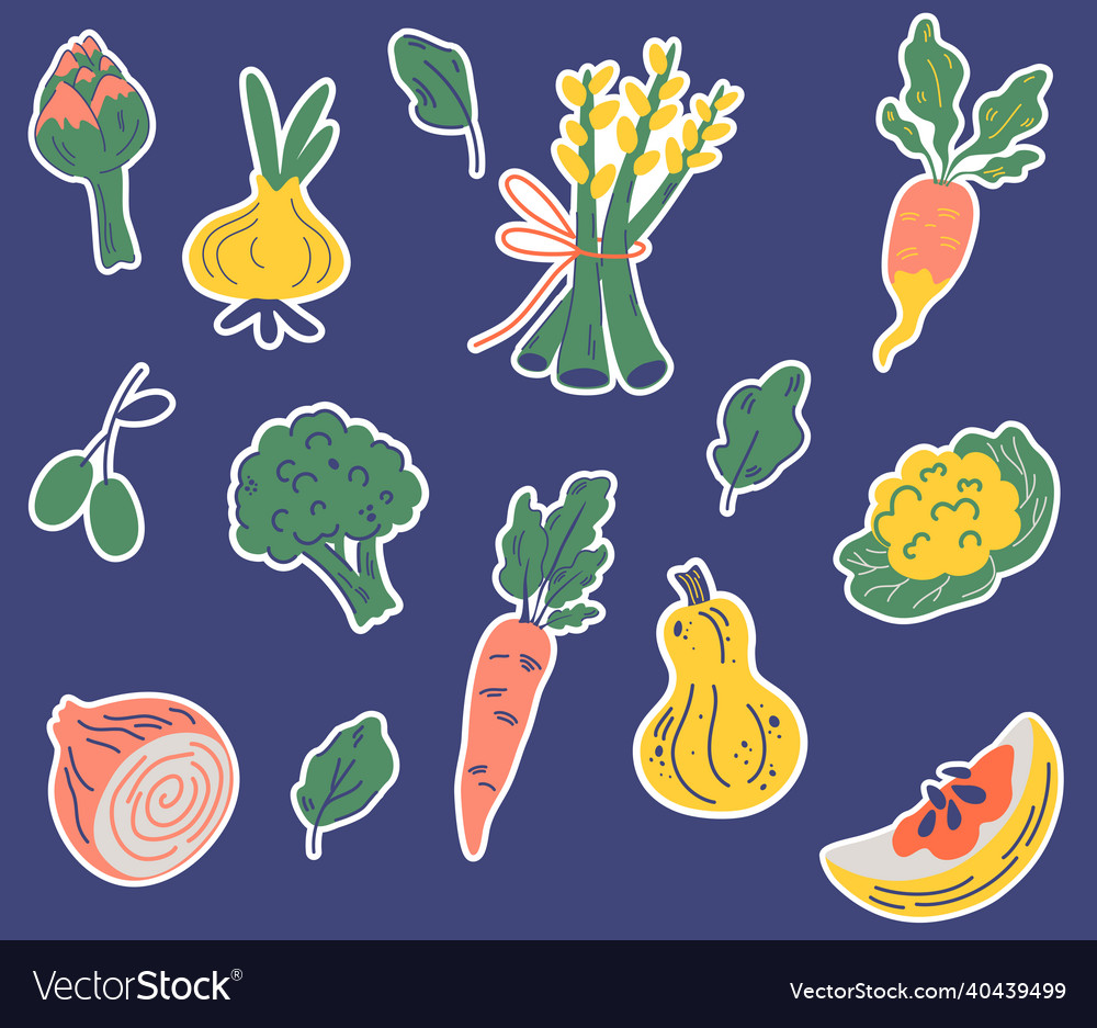 Vegetables sticker set carrots artichoke Vector Image