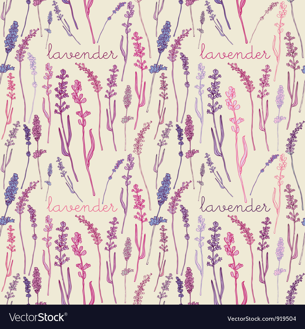 Lavender pattern background Royalty Free Vector Image