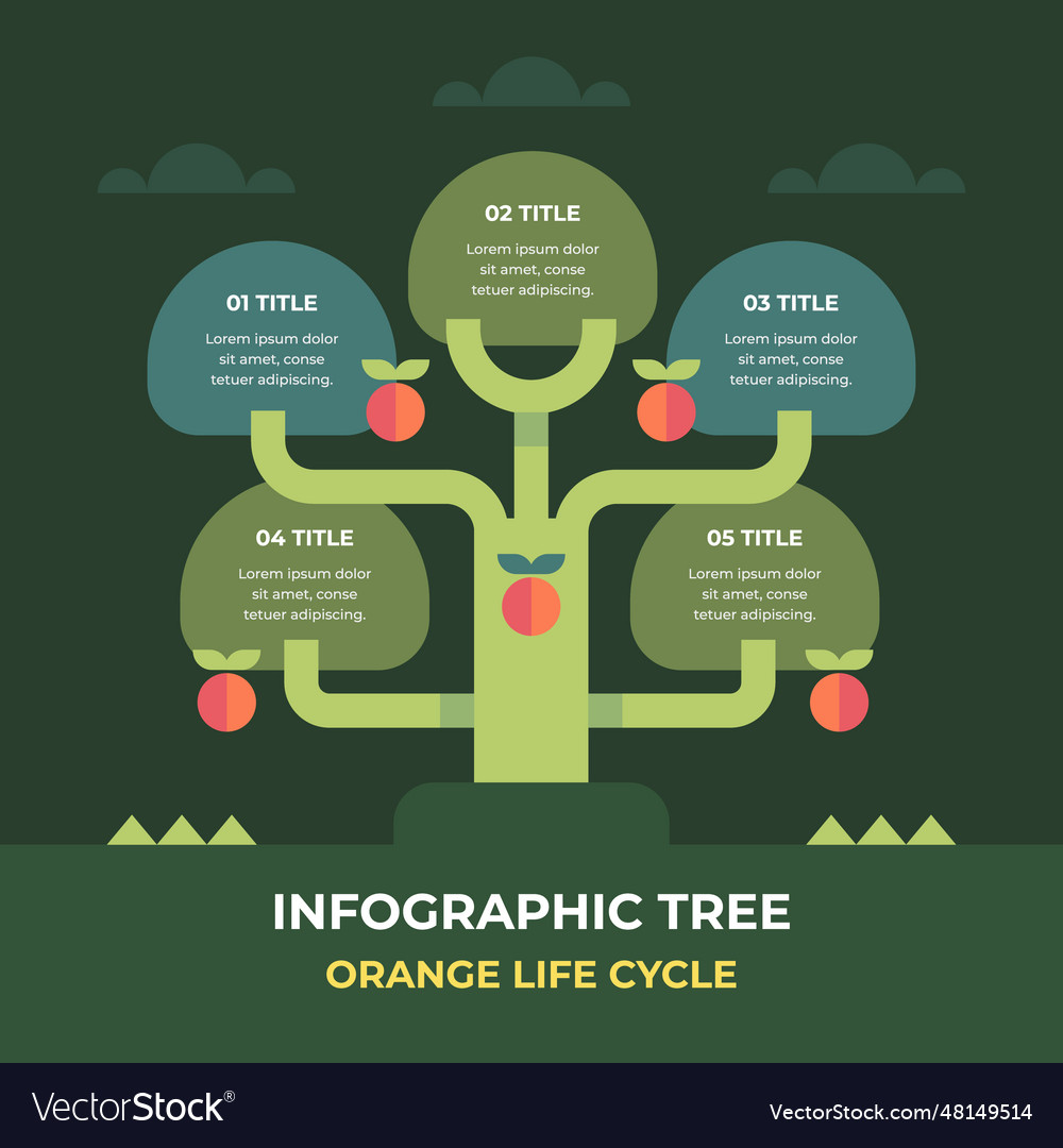 Infographic tree design orange life cycle Vector Image