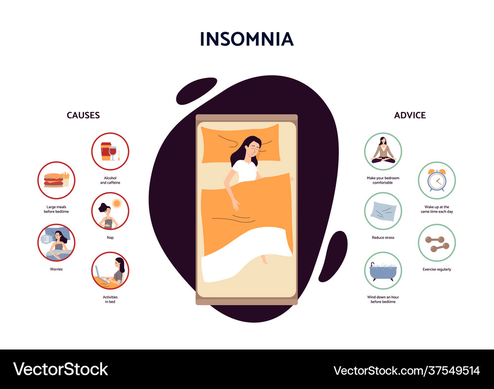 Insomnia - reasons sleeping problems and rules Vector Image