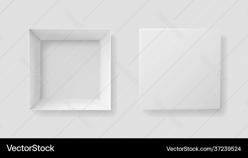 Open and closed box with top view mockup white Vector Image