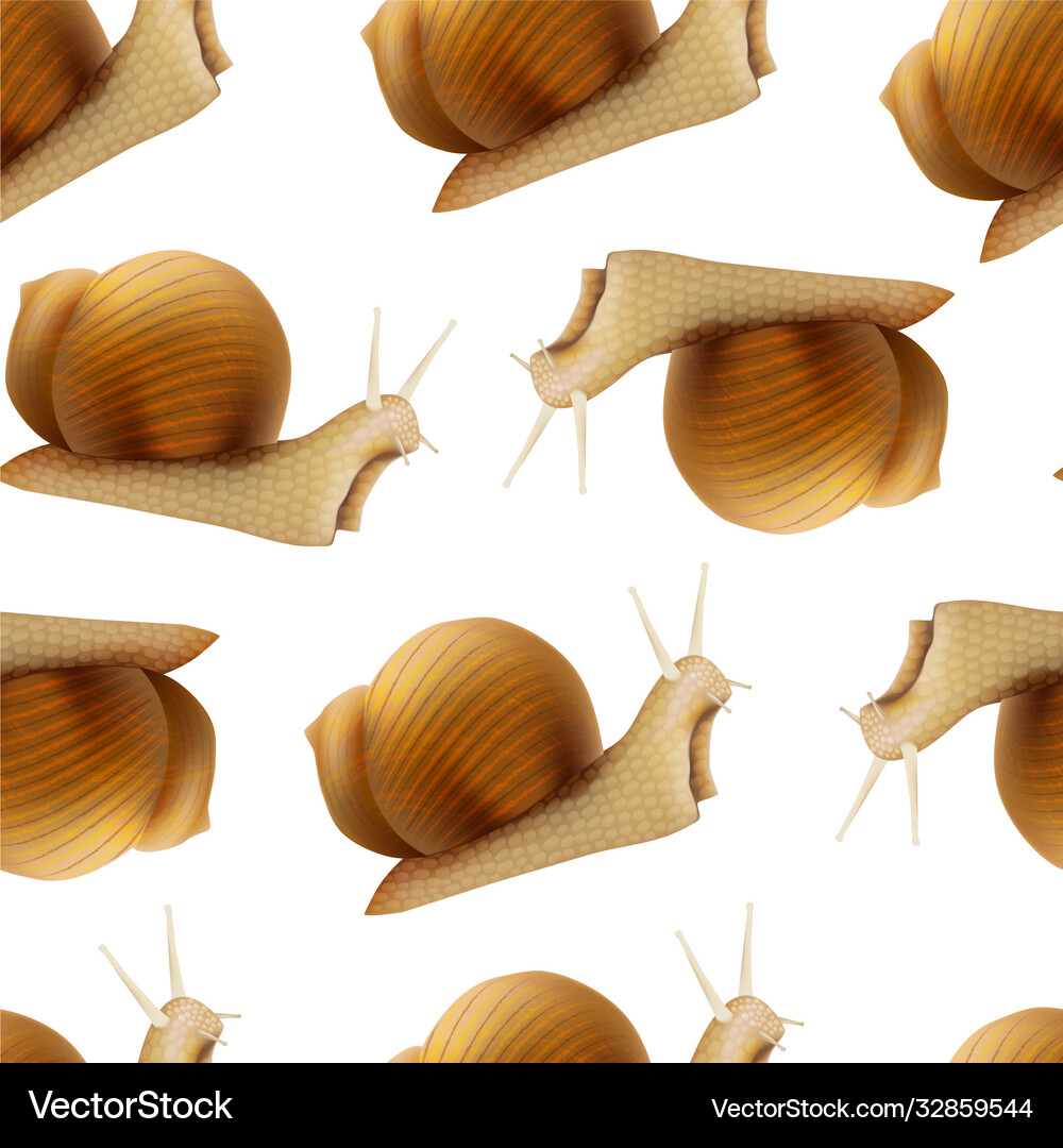 Realistic 3d detailed slimy snail with shell Vector Image