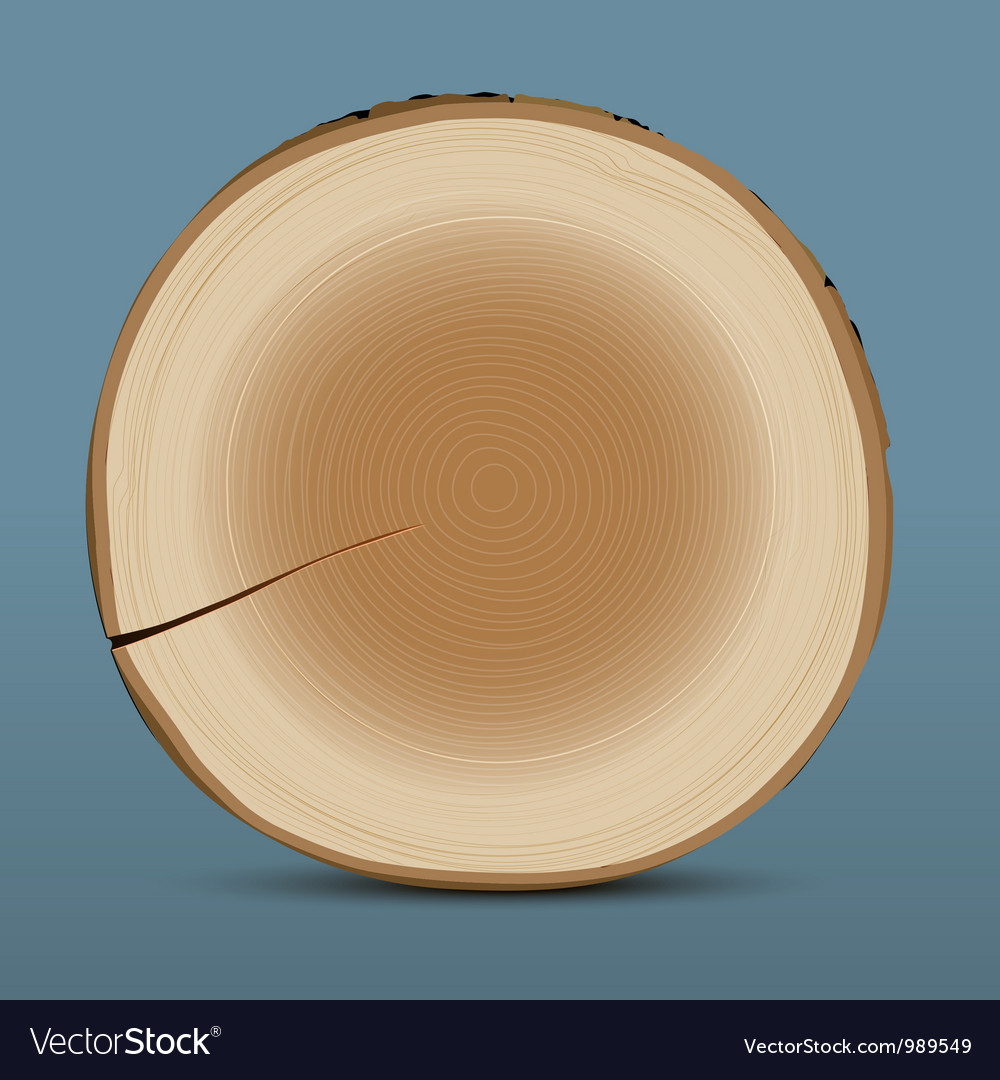Cross section tree stump Royalty Free Vector Image Cross section tree stump Royalty Free Vector Image