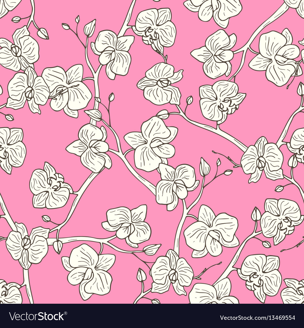 Orchid Flowers Seamless Pattern Royalty Free Vector Image