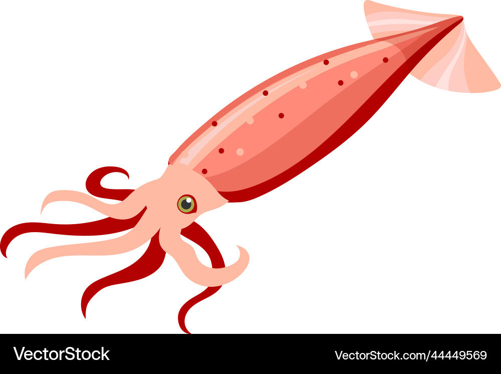 Squid isometric icon Royalty Free Vector Image