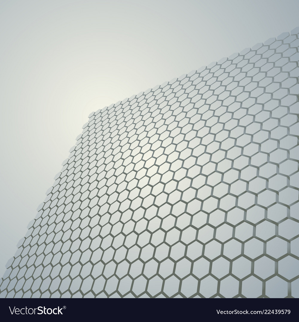 Evolution background Royalty Free Vector Image