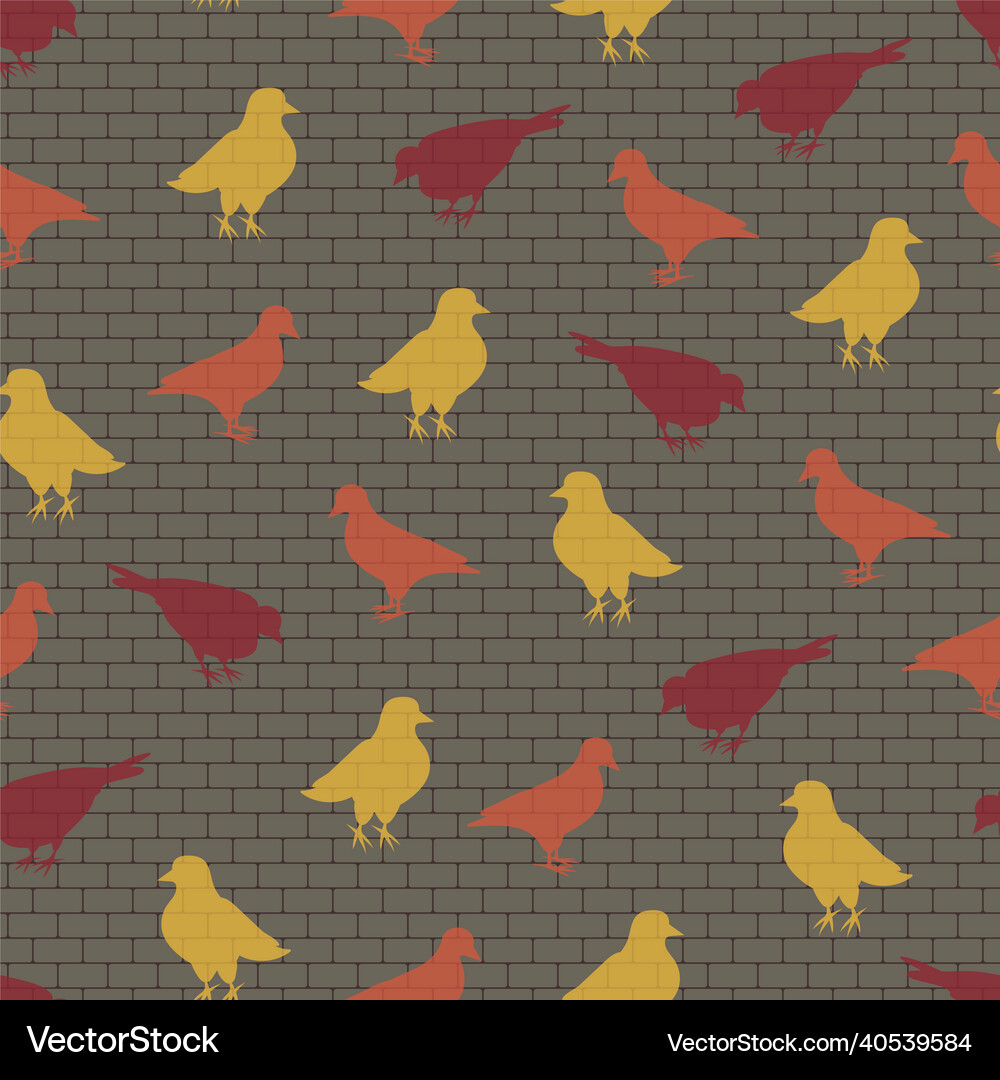 Colourful pigeons on a grey wall pattern print Vector Image