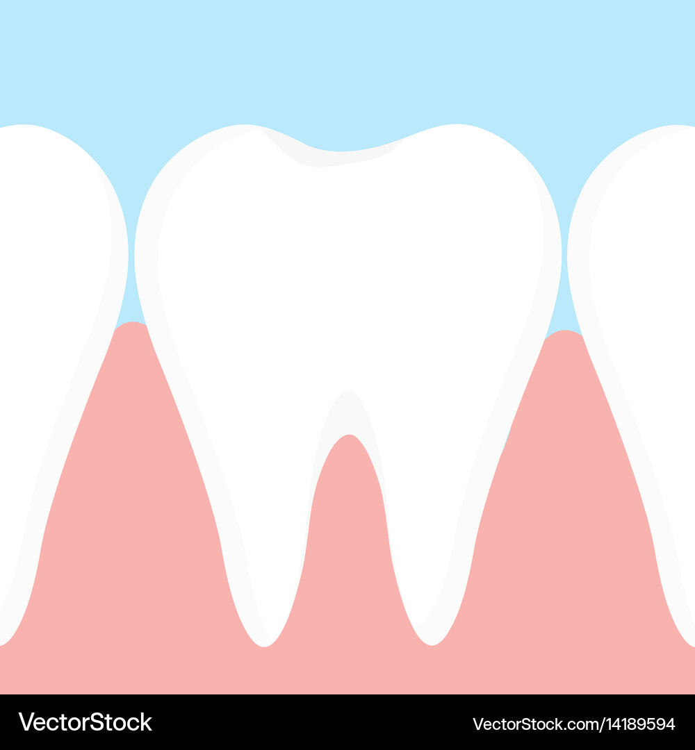 Gums and teeth Royalty Free Vector Image - VectorStock