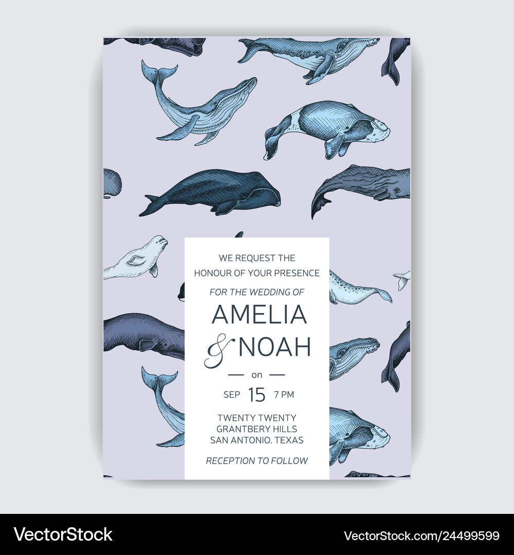 Wedding card with whale colorful Royalty Free Vector Image