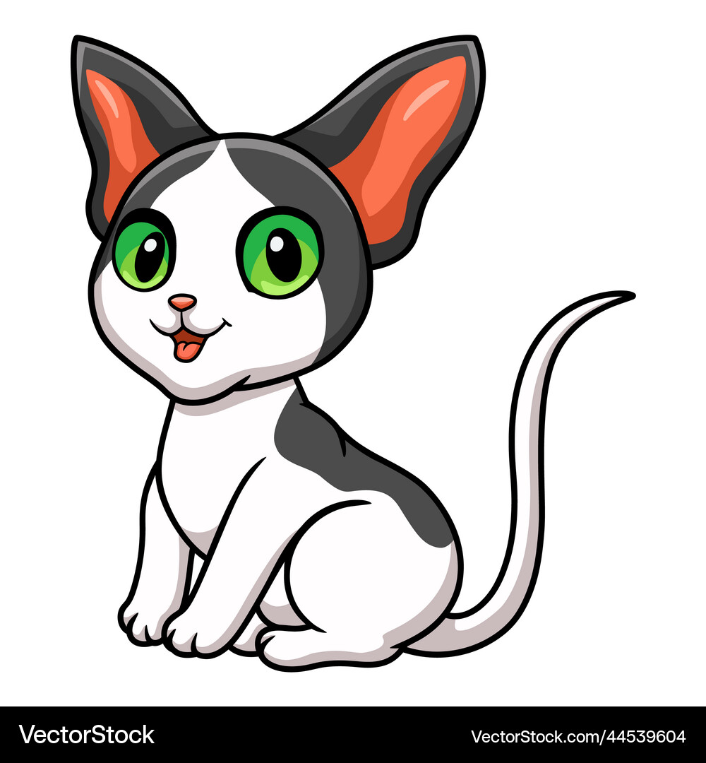 Cute oriental cat cartoon sitting Royalty Free Vector Image