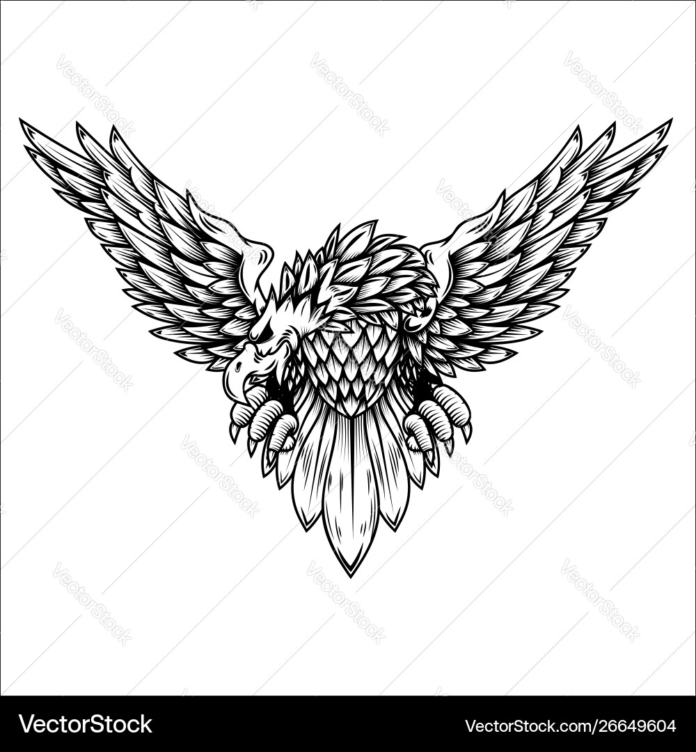 Eagle isolated on white background design element Vector Image