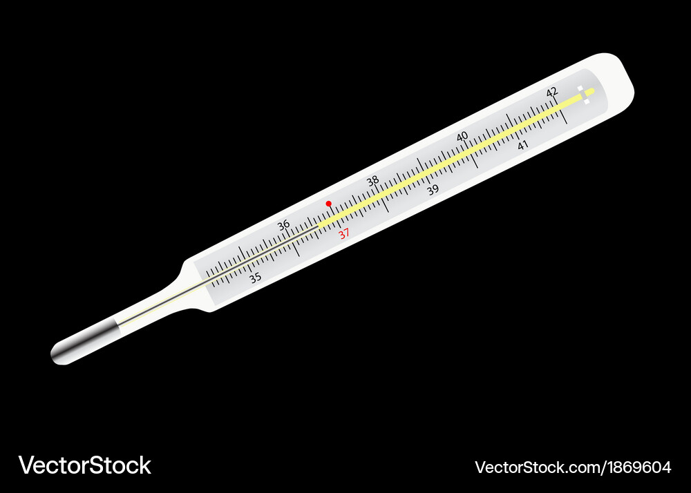 Thermometer Royalty Free Vector Image - VectorStock