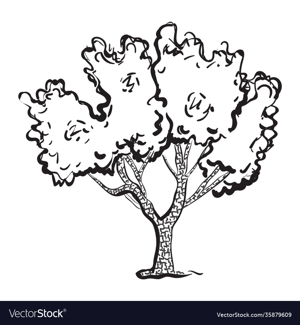 Timber tree Royalty Free Vector Image - VectorStock
