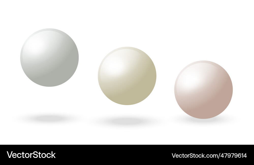 Spherical oyster pearls white 3d sphere realistic Vector Image