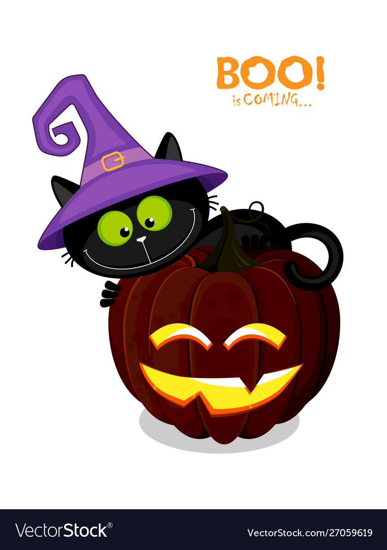 Cute black cat in a witch hat behind halloween Vector Image