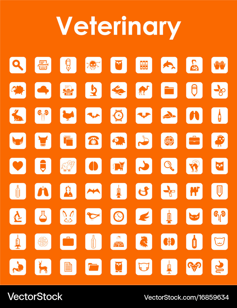 Set of veterinary simple icons Royalty Free Vector Image