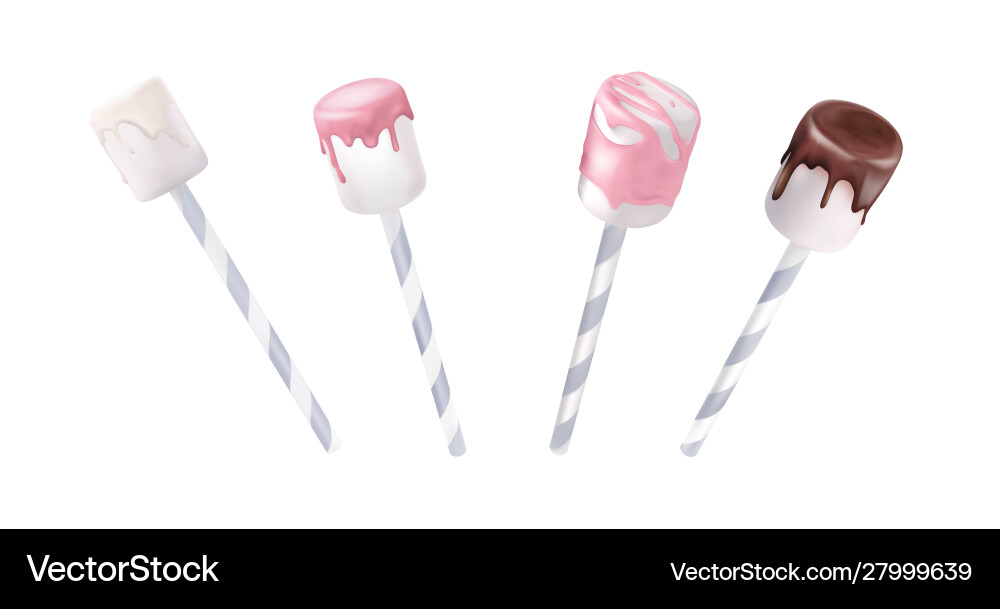 Set marshmallows on a stick with different choc Vector Image
