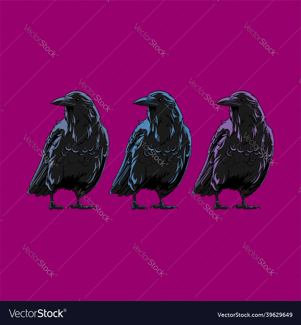 Raven Royalty Free Vector Image - VectorStock