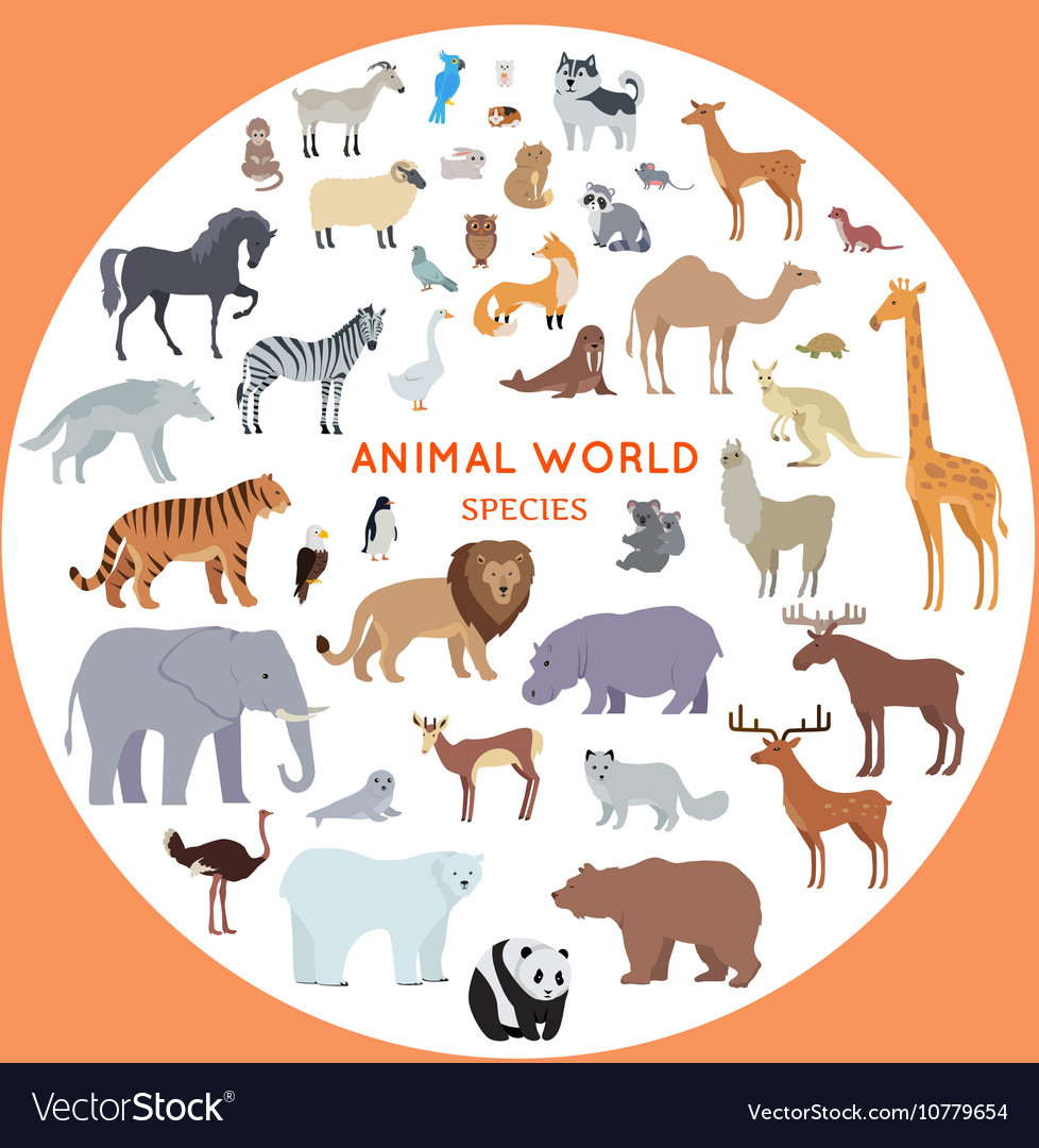 Set world animal species Royalty Free Vector Image