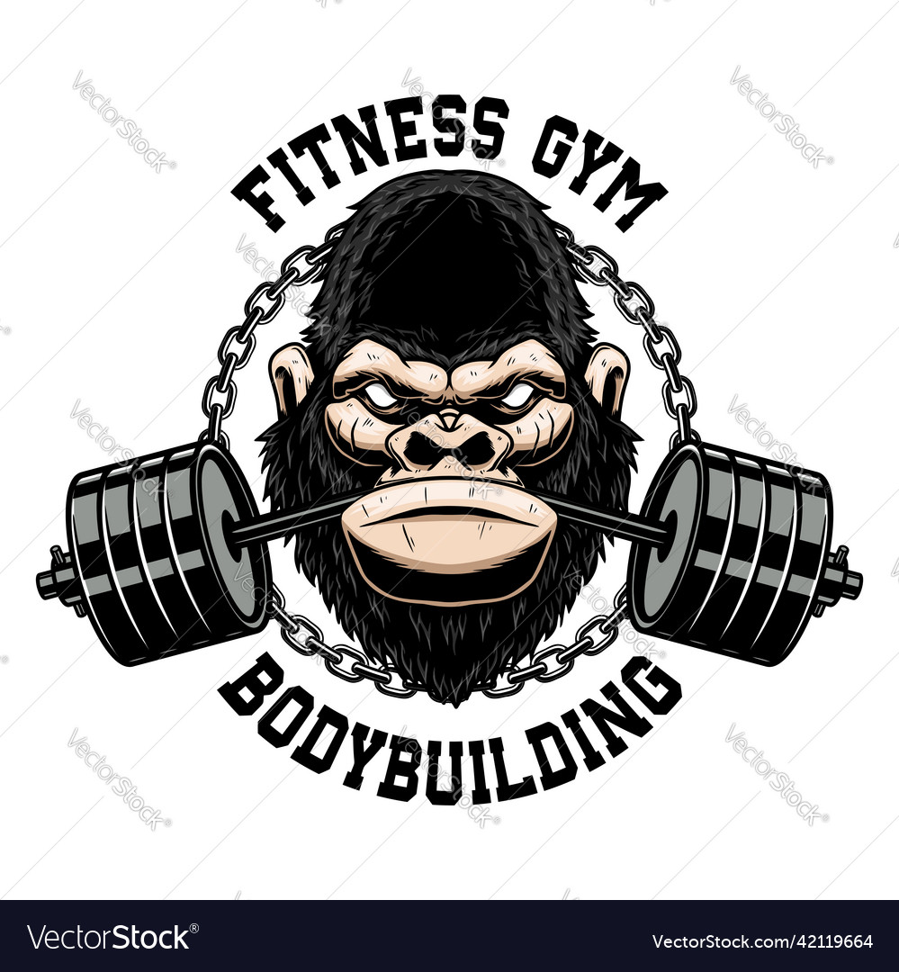 Gorilla with gym barbell in mouth design element Vector Image