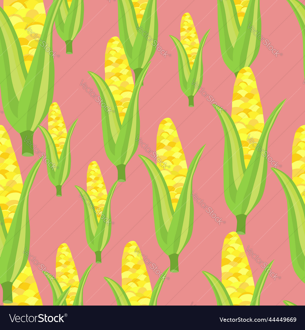 Corn plants seamless pattern cobs endless Vector Image