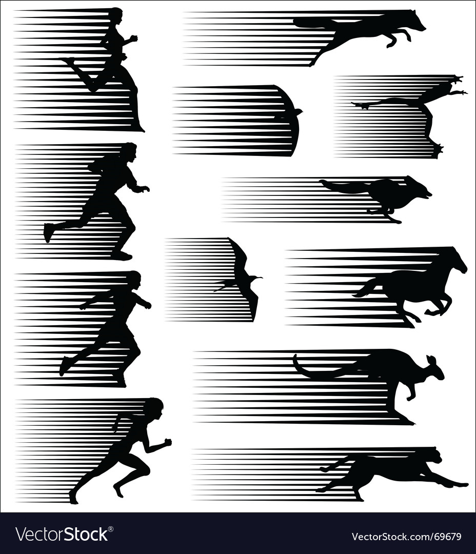 Fast Royalty Free Vector Image - VectorStock