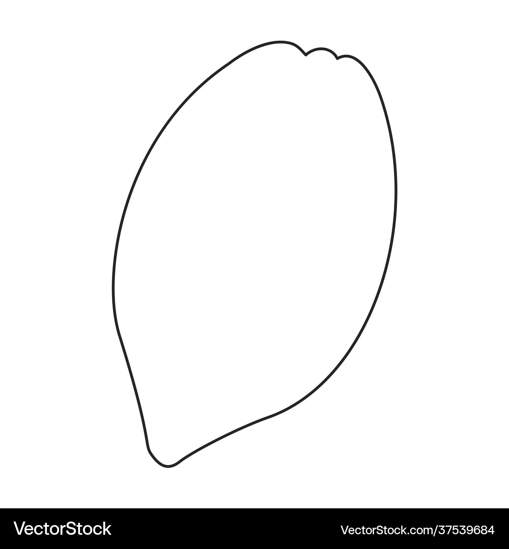Cocoa bean outline icon Royalty Free Vector Image